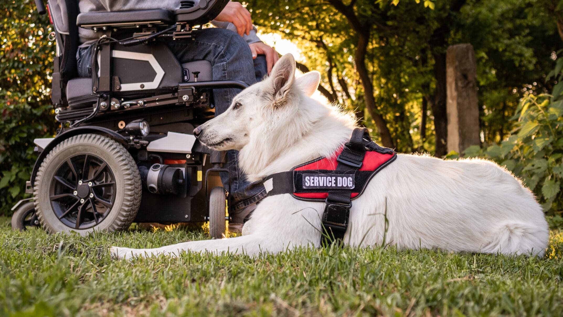 Event Guidelines | Western Missouri Medical Center